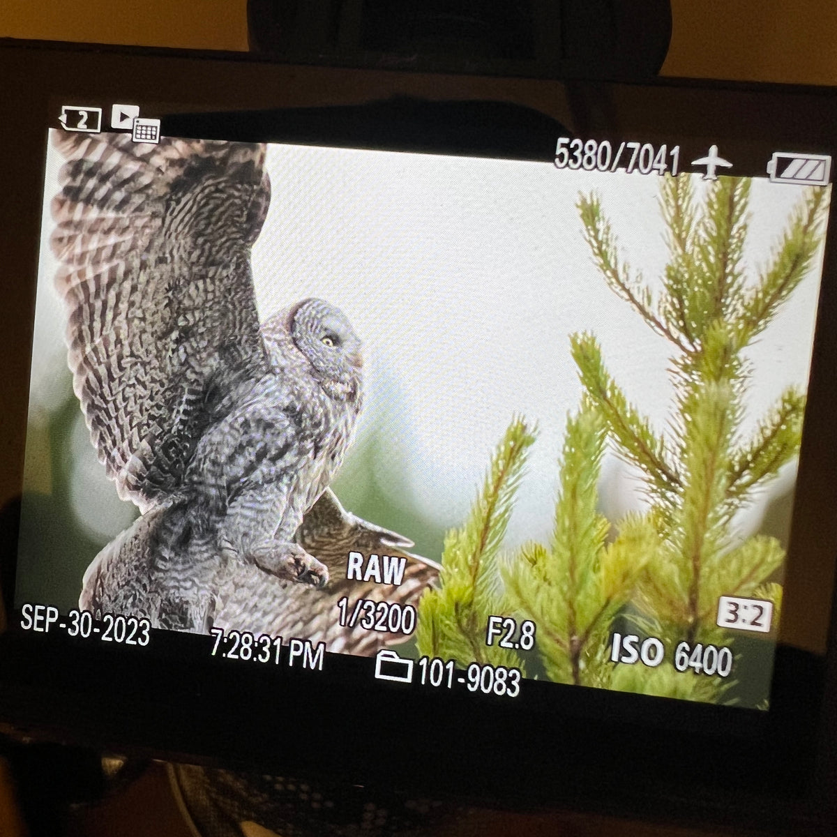 GYE Fall 2023 Trip Report - Pre-Installment – Wild Feather Gallery