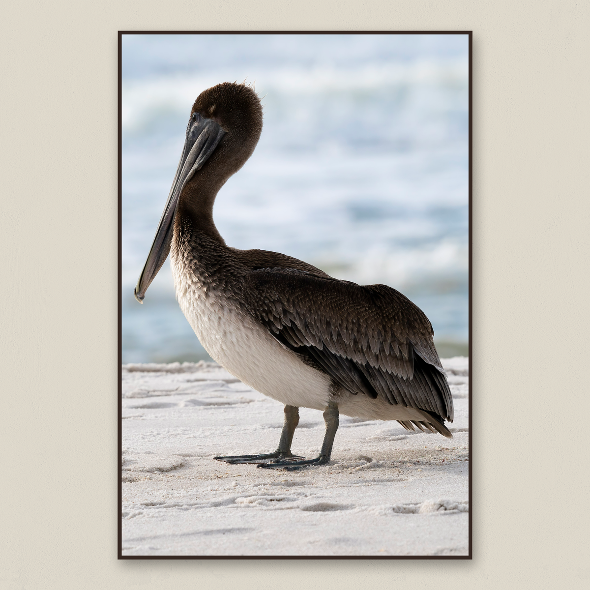 Pelican Patterns – Wild Feather Gallery